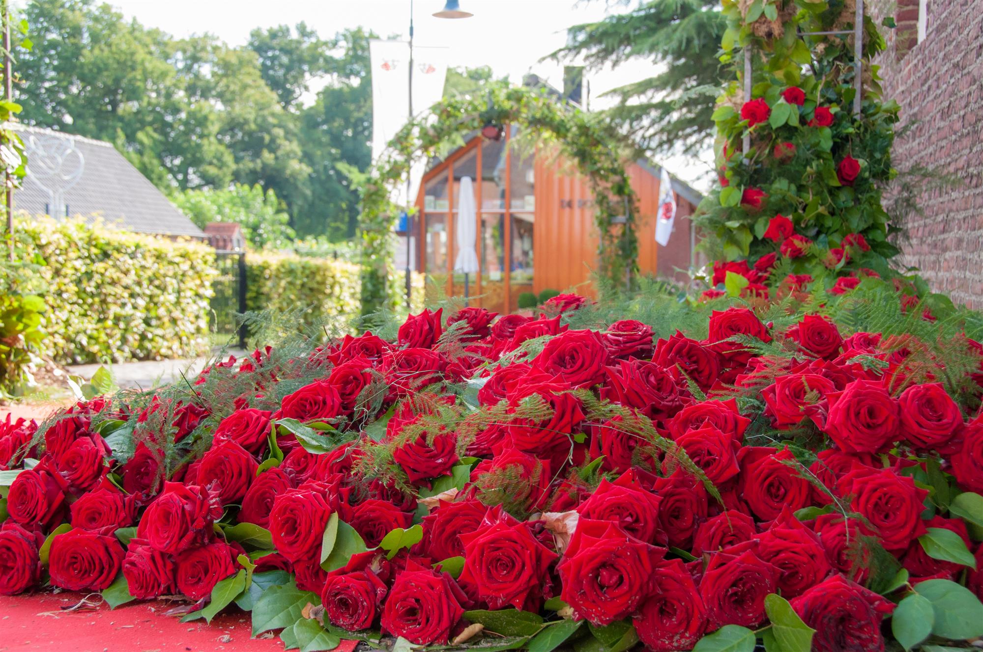 Rozenfestival Lottum - Ticketcrew